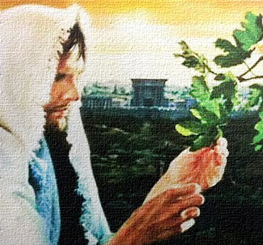 The Budding Fig Tree